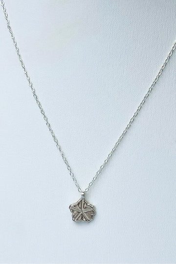 ROCHESTER – Shop-Peppermint